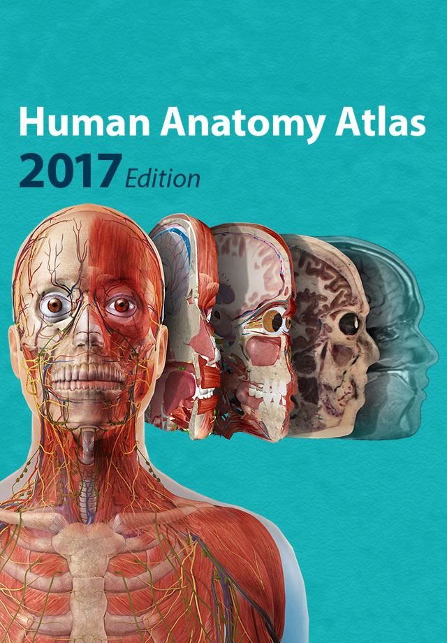 Visible body human anatomy atlas - gsexpert Visible body human anatomy atlas - gsexpert