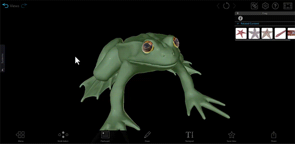 How to Teach with Visible Body’s Dissectible Virtual Frog Model