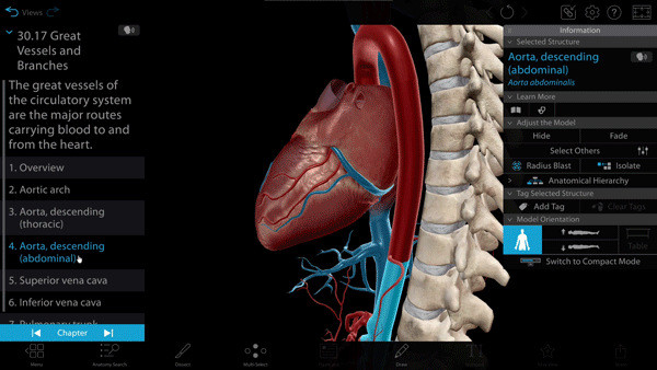 Teaching Strokes with Visible Body