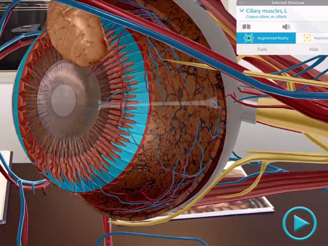 Three Amazing Augmented Reality Views of the Human Body with Human ... Three Amazing Augmented Reality Views of the Human Body with Human ...