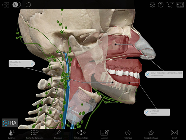 Different Anatomy Tools Are Key to the Learning Process