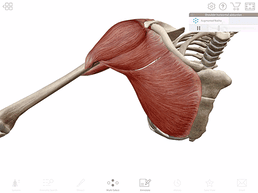 More 3D Access = More Learning: An interview with Professor Mary ...