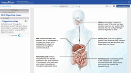 It takes less than 15 minutes to set up a complete A&P course in ...