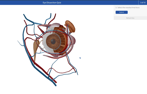 Explore Grant’s Atlas of Anatomy with Visible Body’s Immersive Course
