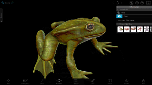 How to Teach with Visible Body’s Dissectible Virtual Frog Model