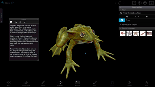 Comparing Animal Anatomy: A Visible Body Lesson Plan