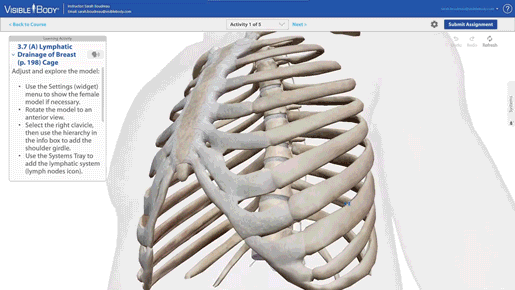Explore Grant’s Atlas of Anatomy with Visible Body’s Immersive Course