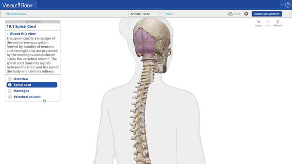 What Comes in a Premade Course in Visible Body Courseware?