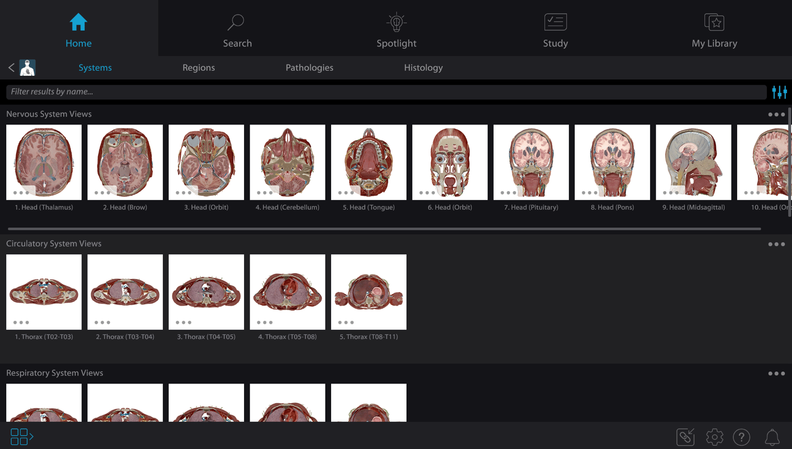 Free Lesson Plan: Anatomical Planes, Positions, and Directional Terms