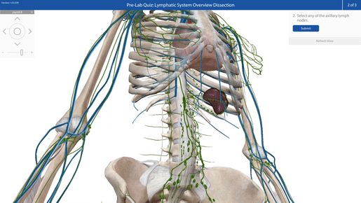 Increase Student Engagement Online with Premade Courses in Visible Body ...