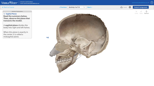 Free Lesson Plan: Anatomical Planes, Positions, and Directional Terms