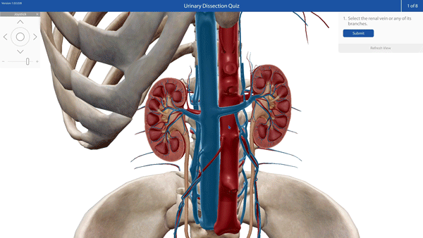 How Does Visible Body Courseware Compare with Primal Pictures’ Anatomy.tv?
