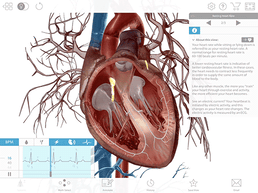 Decoding the Heart: What Is an ECG?