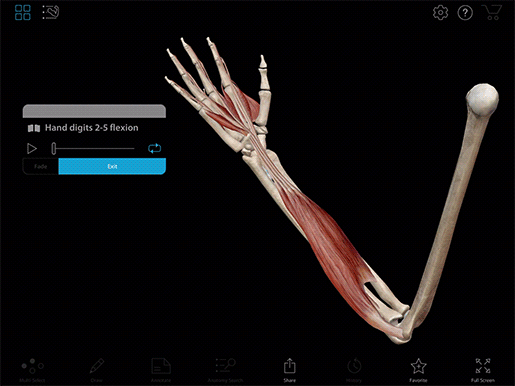 A Digital Post: Fingers and Thumbs