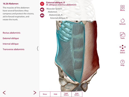 How to Design Lessons Using 3D Anatomy Apps: A Step-by-Step Guide