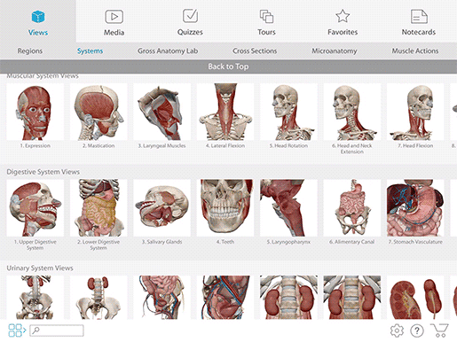 Using 3D Anatomy Apps During Lecture: Teaching Tips for Courseware Users