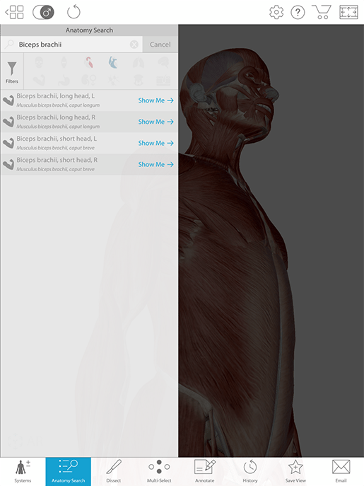 How to Design Lessons Using 3D Anatomy Apps: A Step-by-Step Guide