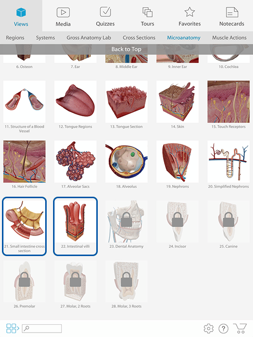 Using 3D Anatomy Apps During Lecture: Teaching Tips for Courseware Users