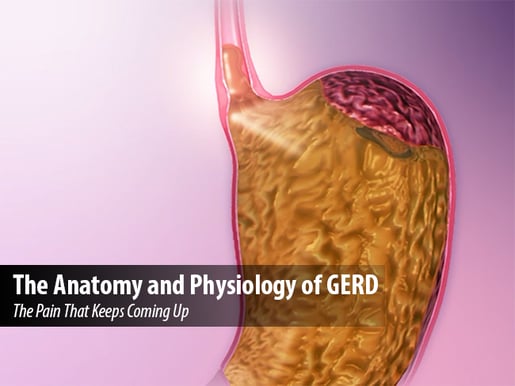 The Anatomy and Physiology of GERD: The Pain That Keeps Coming Up
