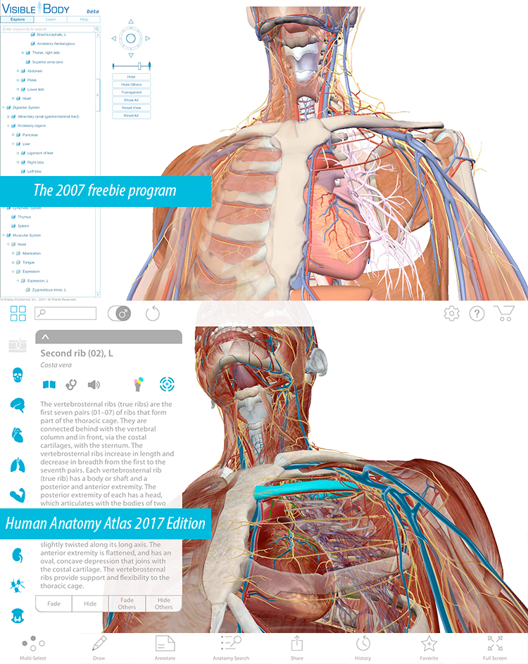 High-Tech Classrooms: Learning with Virtual Human Anatomy