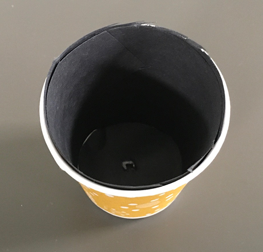 Free AR Lesson Plan: The Anatomy and Physiology of the Eye