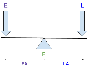 Biomechanics: Lever Systems in the Body