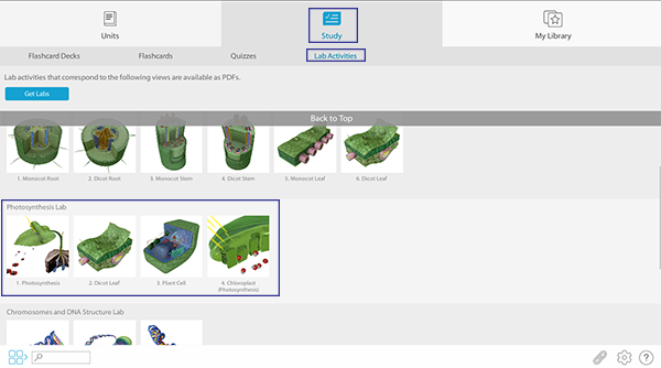 Teaching Photosynthesis with Visible Body: A Free Lesson Plan