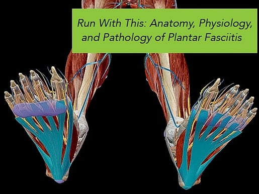 Run With This: Anatomy, Physiology, and Pathology of Plantar Fasciitis