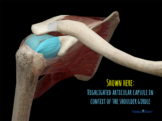 Brrrr! A Chilling Look at Adhesive Capsulitis (Frozen Shoulder)