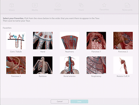 A 3D Urinary System Lesson Plan: Creating Interactive Presentations