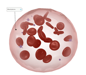 I Want to Know What Blood Is: A 3D Visual Field Guide to Blood Cells