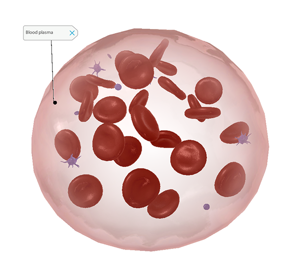 I Want to Know What Blood Is: A 3D Visual Field Guide to Blood Cells