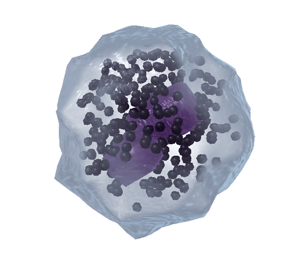 I Want to Know What Blood Is: A 3D Visual Field Guide to Blood Cells