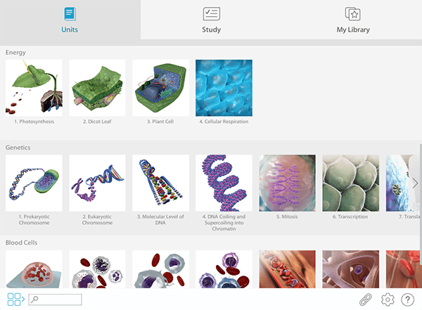 A Preview of Visible Biology: From the Big Picture to the Molecular Level