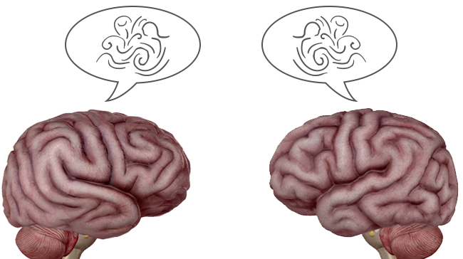 Year-End Roundup: Five Coolest Medical Stories of 2015