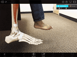 A Lesson Plan in AR: Five Interactive Muscle Actions in Augmented Reality