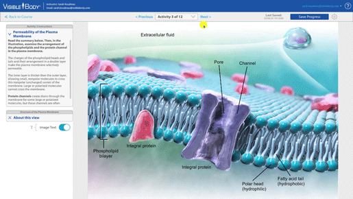 Visible Body Releases Immersive Assignments Beta