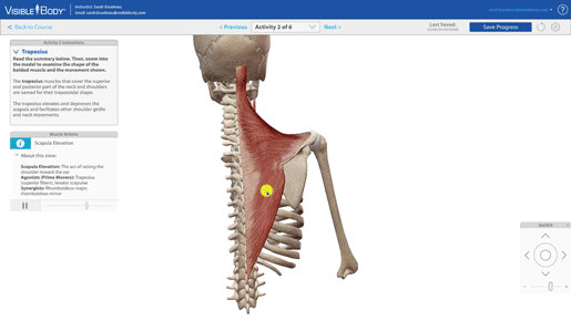 Using Visible Body to Master Terminology & Vocabulary