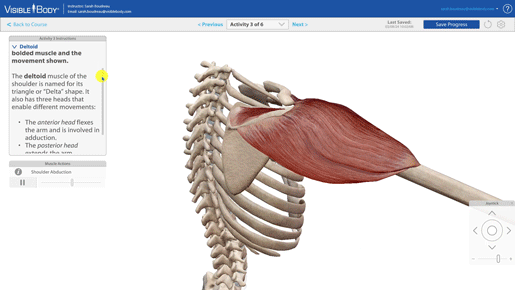 How to Teach Muscle Naming with Immersive Assignments