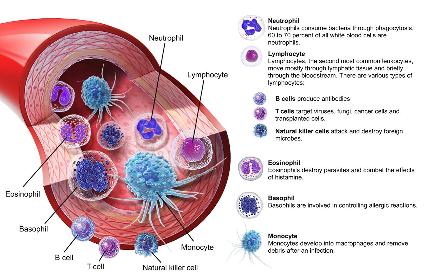 Organophosphates, Hydrocarbons, and Corrosives, Oh My!: The ...