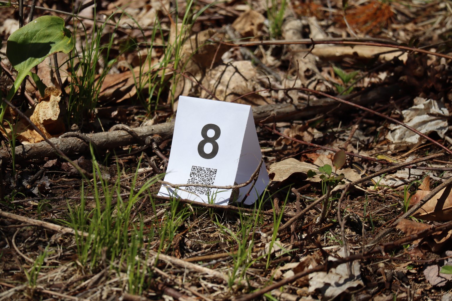 3 Ways to Simulate a Crime Scene: Forensic Science with Visible Body