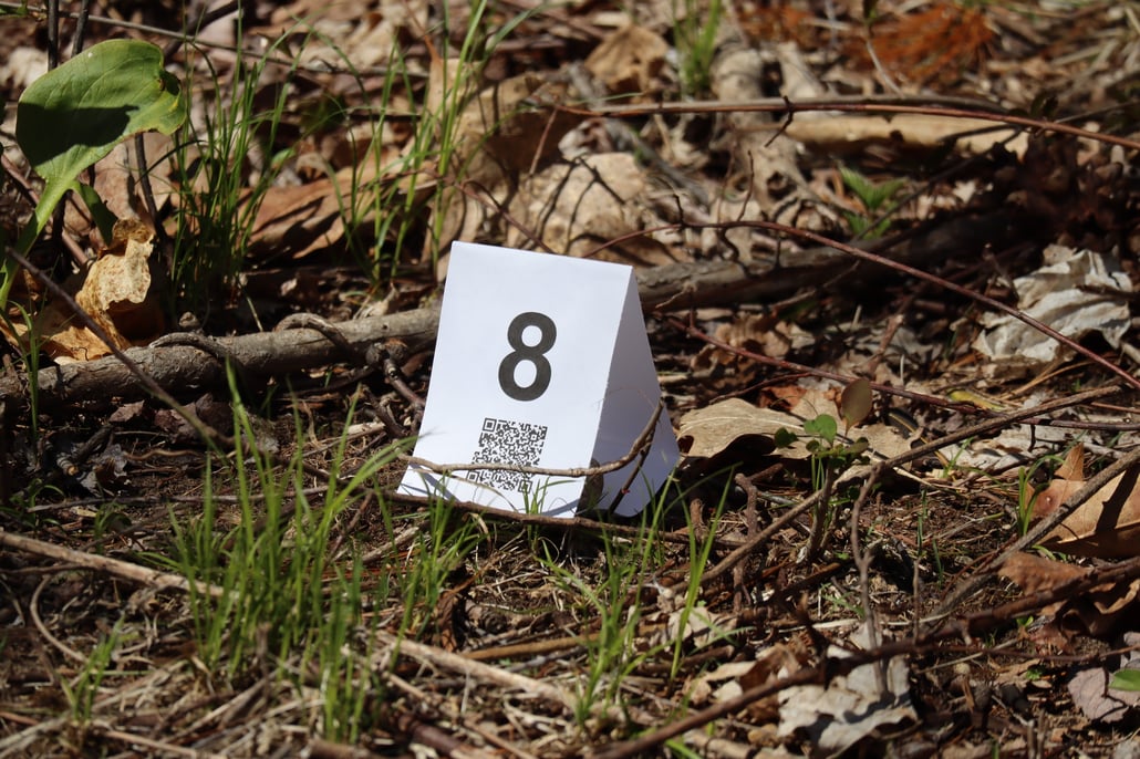 3 Ways to Simulate a Crime Scene: Forensic Science with Visible Body