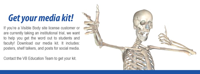 Visible Body | Library Media Kit