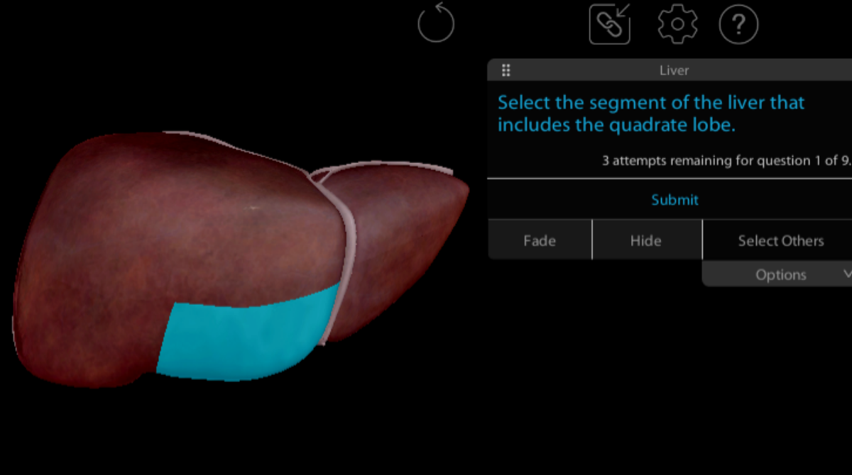 Free Lesson Plan: Learning the Liver