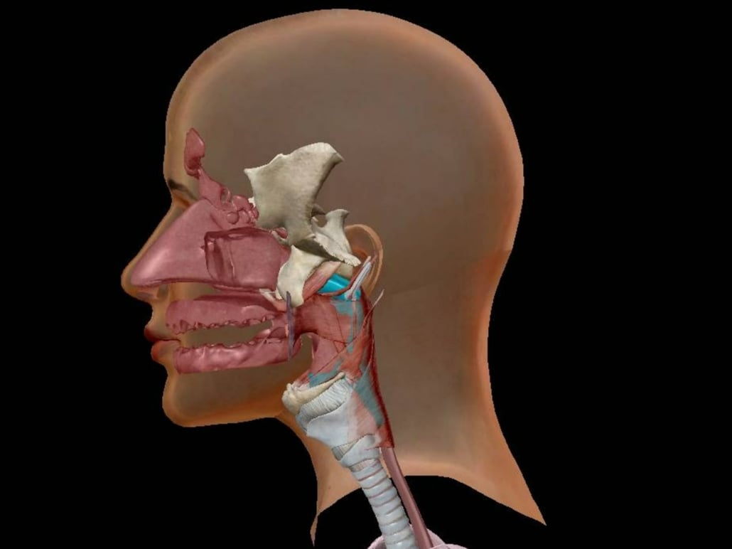 The Science of Snoring
