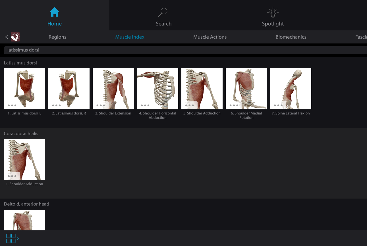 A Visual Guide to Muscle Terminology with VB Suite