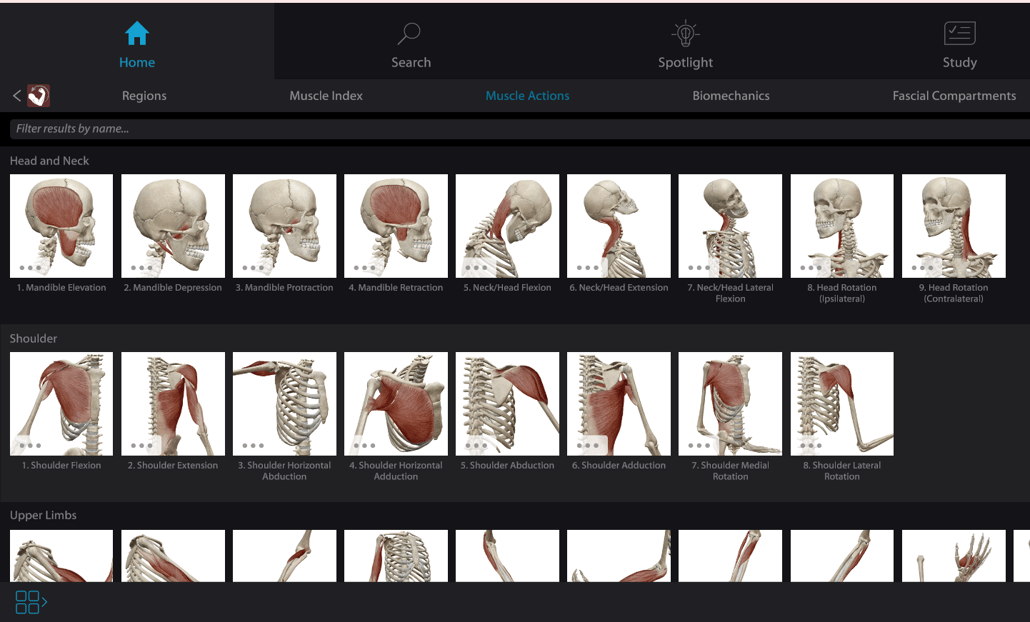 A Visual Guide to Muscle Terminology with VB Suite
