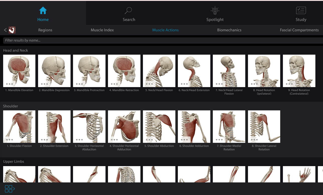 A Visual Guide to Muscle Terminology with VB Suite