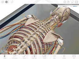 How Does Visible Body Courseware Compare with Pearson's Mastering A&P?