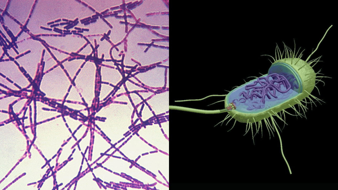 2022 Health News Roundup